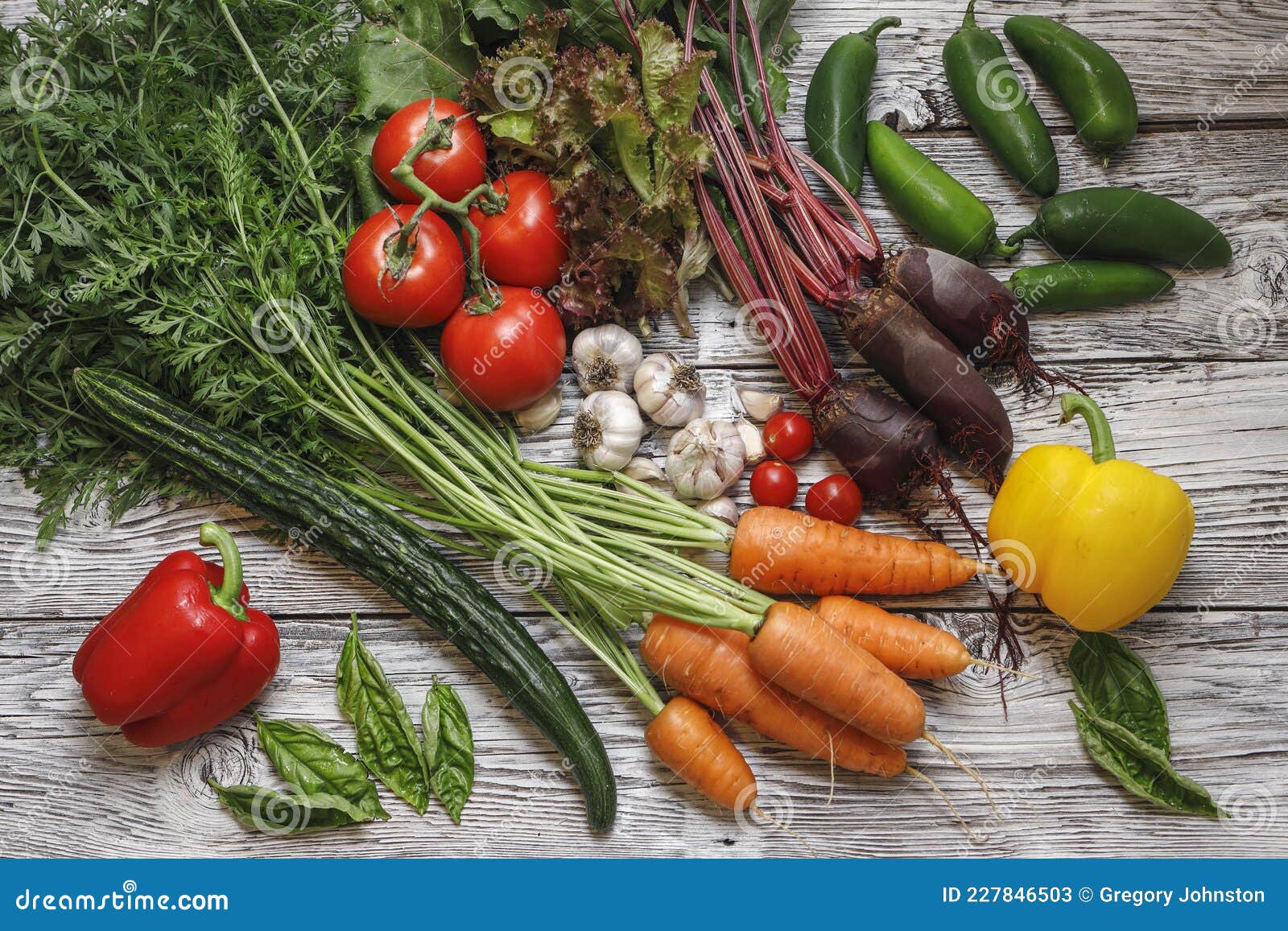 Overview of Assorted Vegetables Stock Image - Image of color, carrot ...