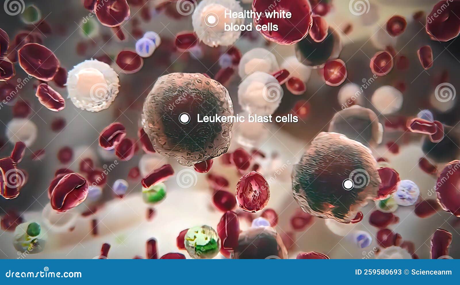 Overview of Blood stock illustration. Illustration of nucleus - 259580693