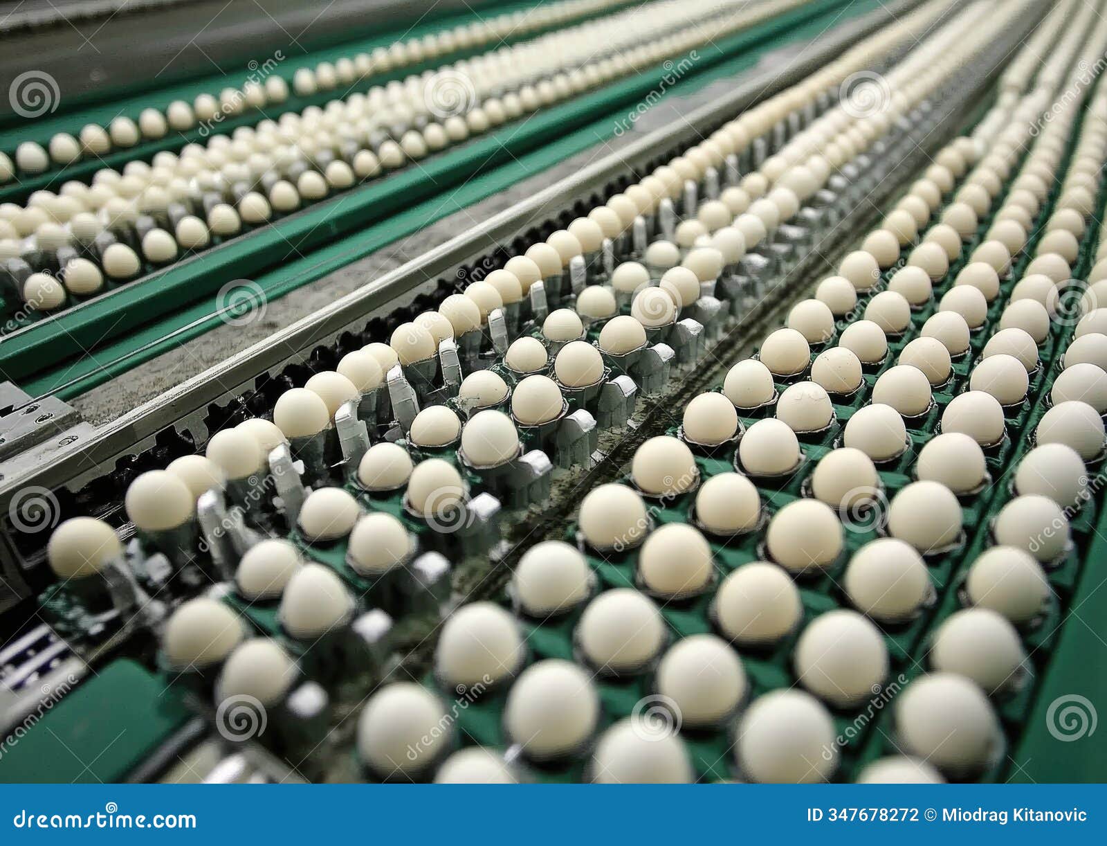 Overview of the Efficient Egg Packing Process in a Production Facility ...