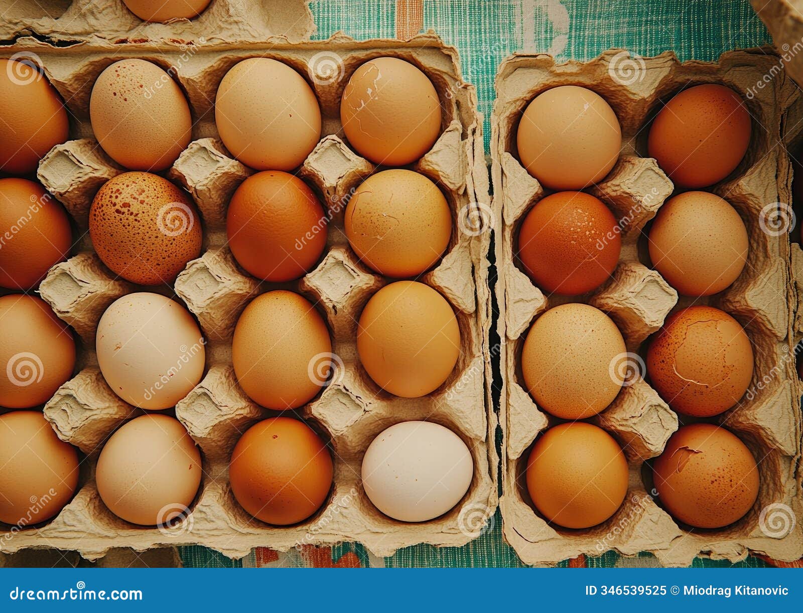 Overview of the Egg Packing Process at a Farm Facility Stock ...