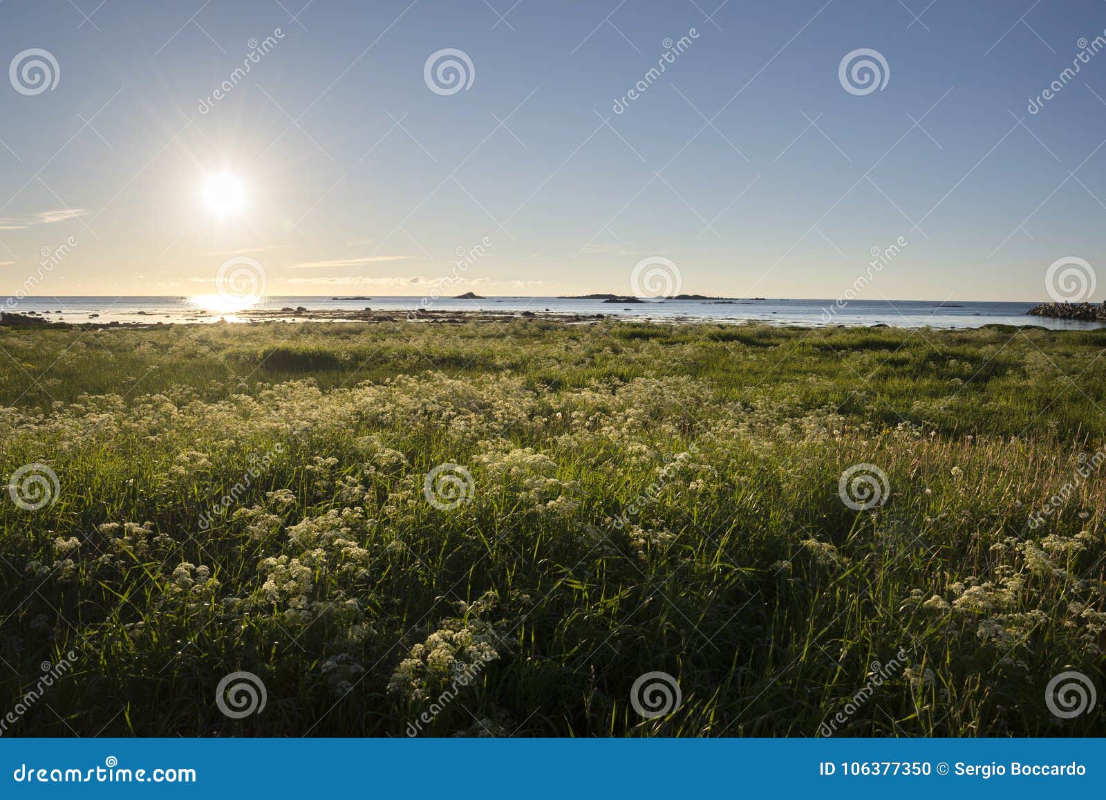 Overview in Eggun in Norway Stock Photo - Image of water, rocks: 106377350
