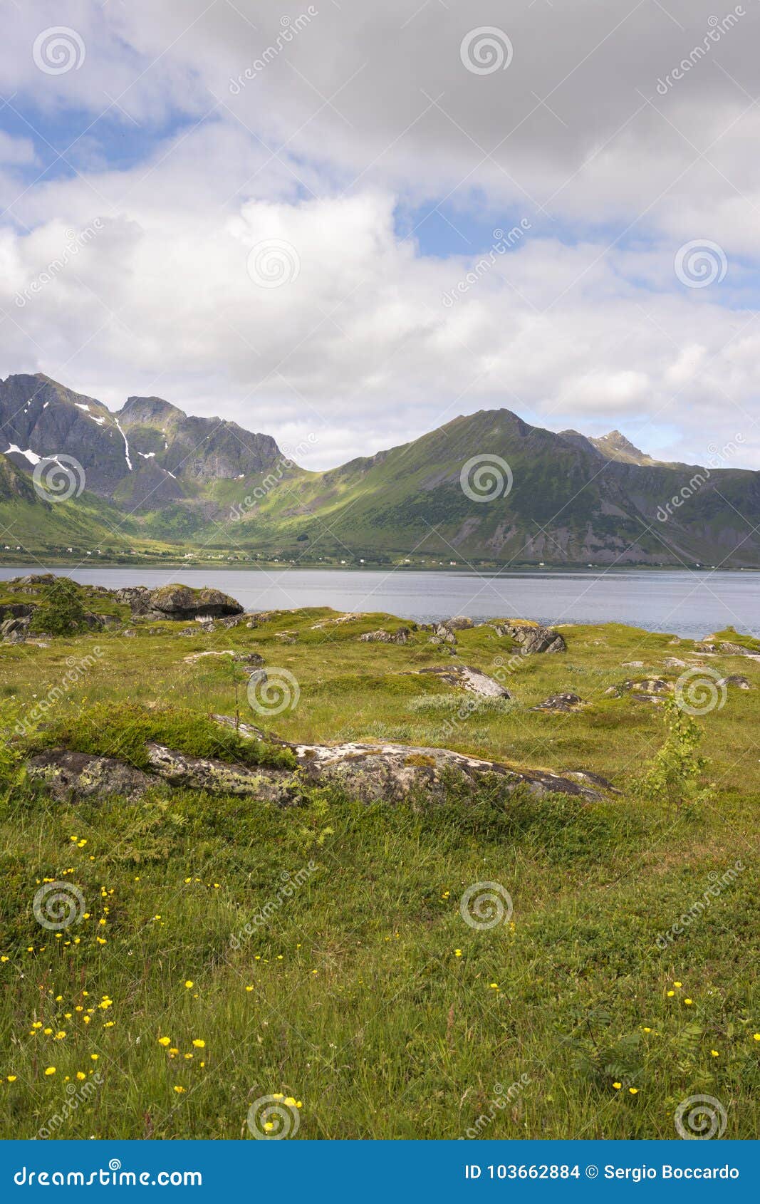 Overview in Eggun in Norway Stock Photo - Image of landscape, lofoten ...