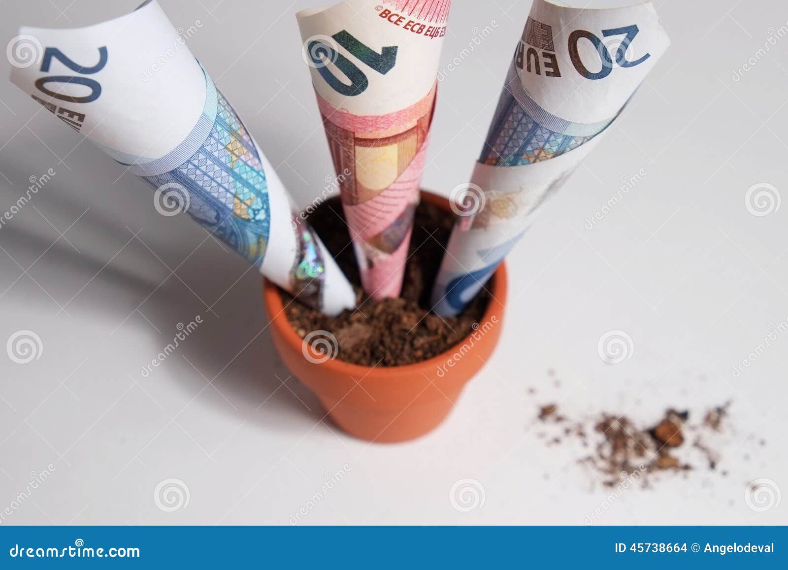 Overview of Euro Banknotes Growing Out of Pot Stock Photo - Image of ...