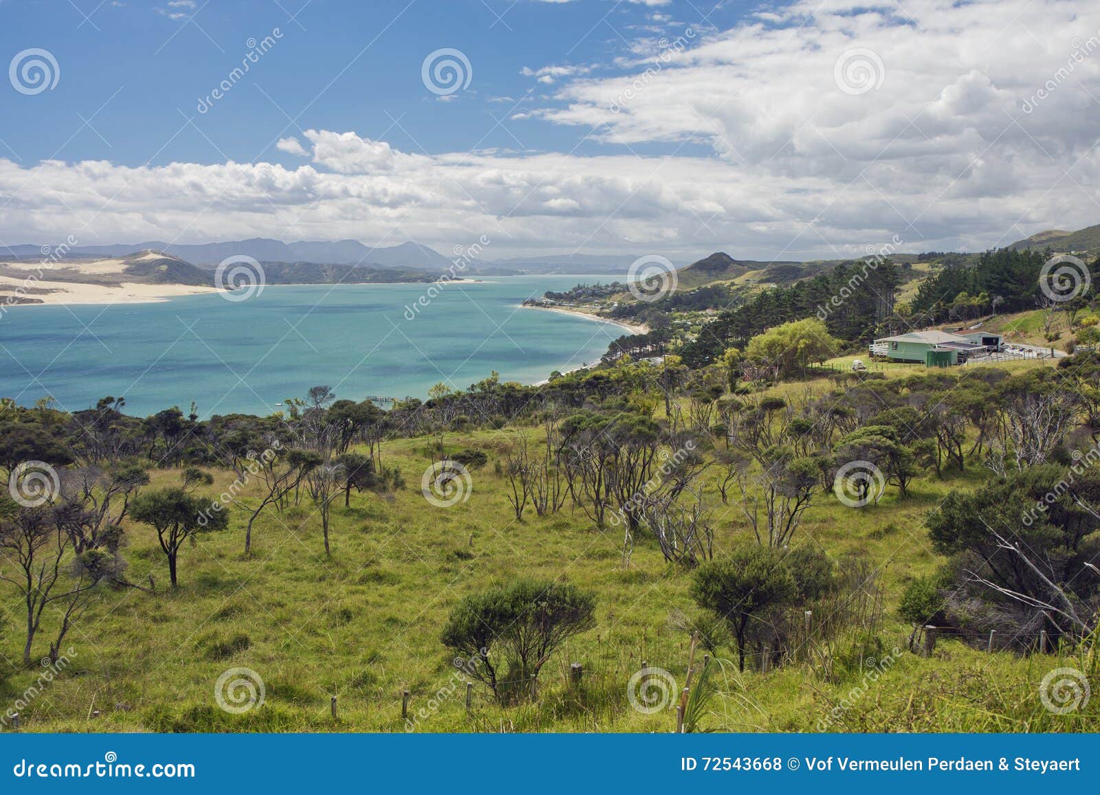 Overview of Hokianga Harbour Stock Photo - Image of harbour, sand: 72543668