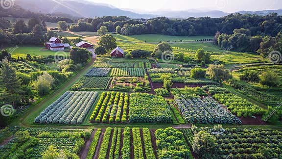 Aerial View of Holistic Farming Practices on a Biodynamic Farm. Stock ...