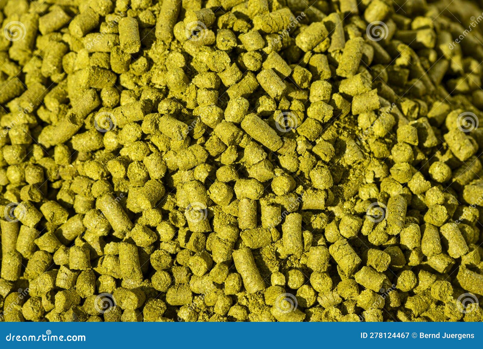 Overview of hop pellets stock image. Image of ingredient - 278124467