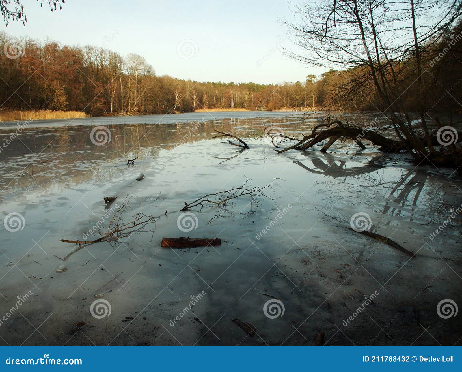 Overview Ice Cover Lake with Tree in Foreground Stock Photo - Image of ...