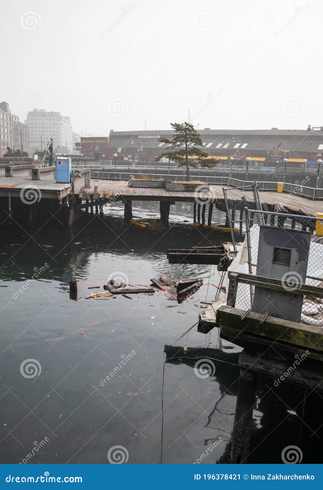 Overview of Massive Partial Collapse of Pier 58 at Elliott Bay, Seattle ...