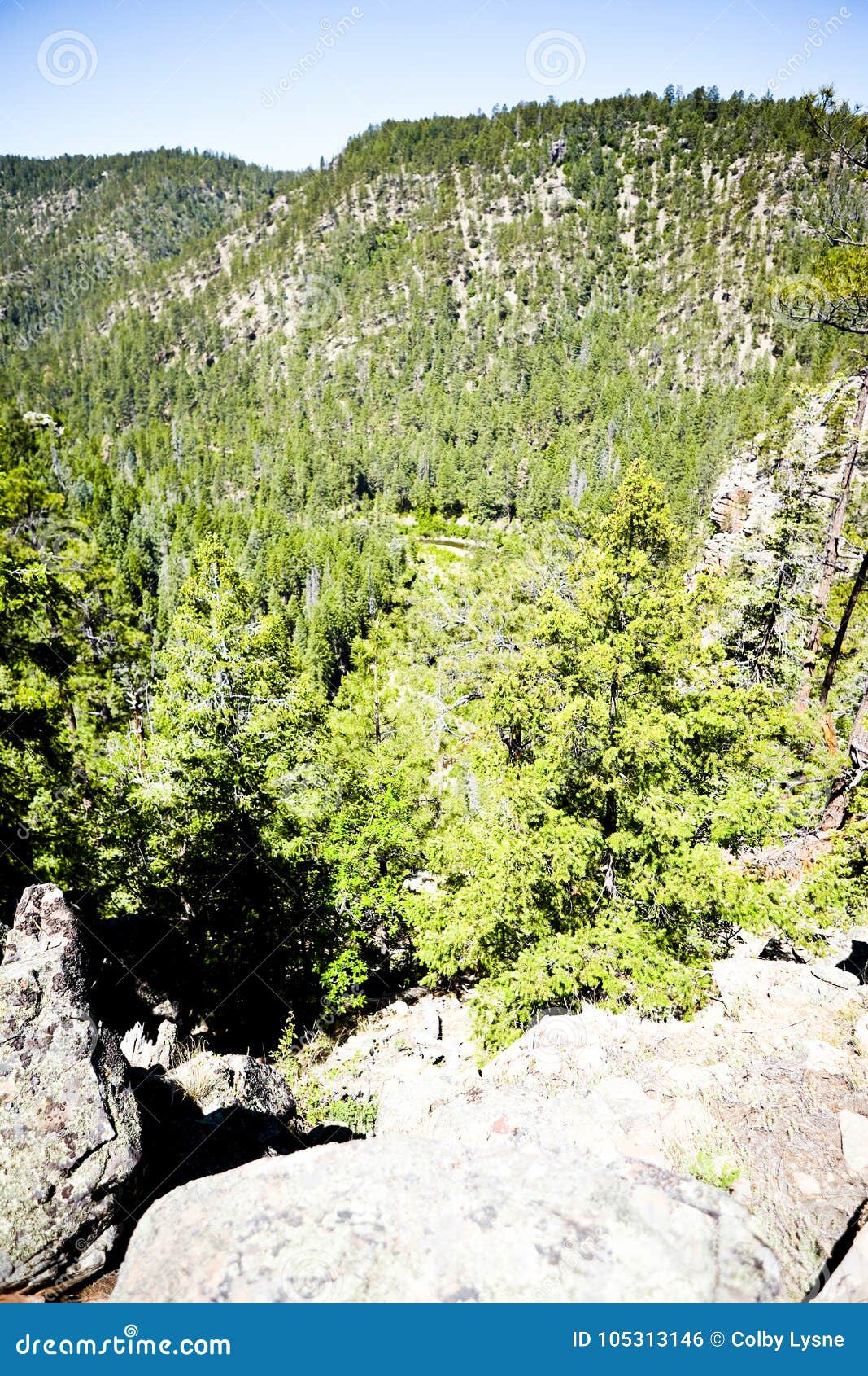 Overview from a Rocky Ledge of a Forested Valley Stock Photo - Image of ...