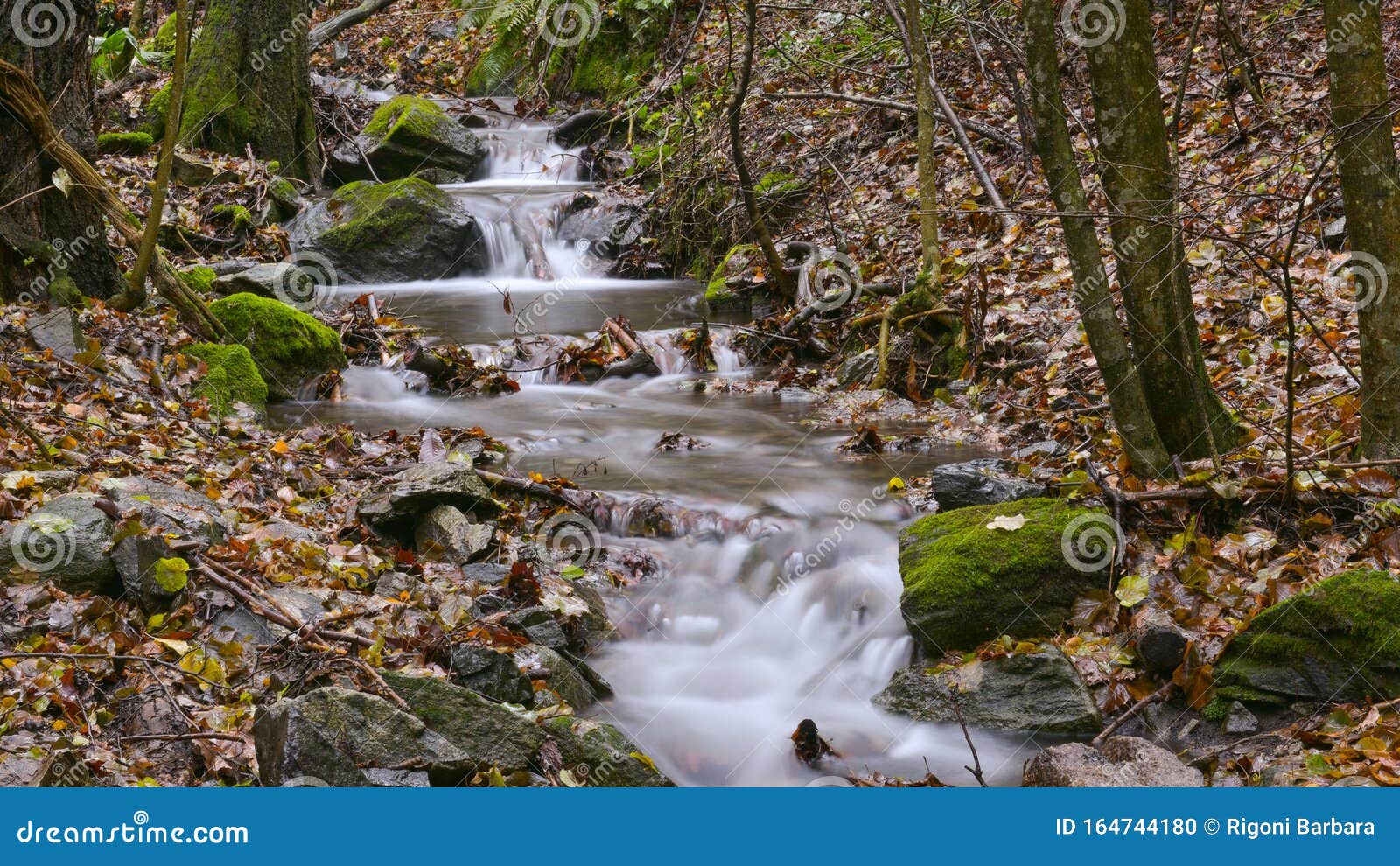 Overview of a Stream Flowing in the Woods in Autumn Stock Photo - Image ...