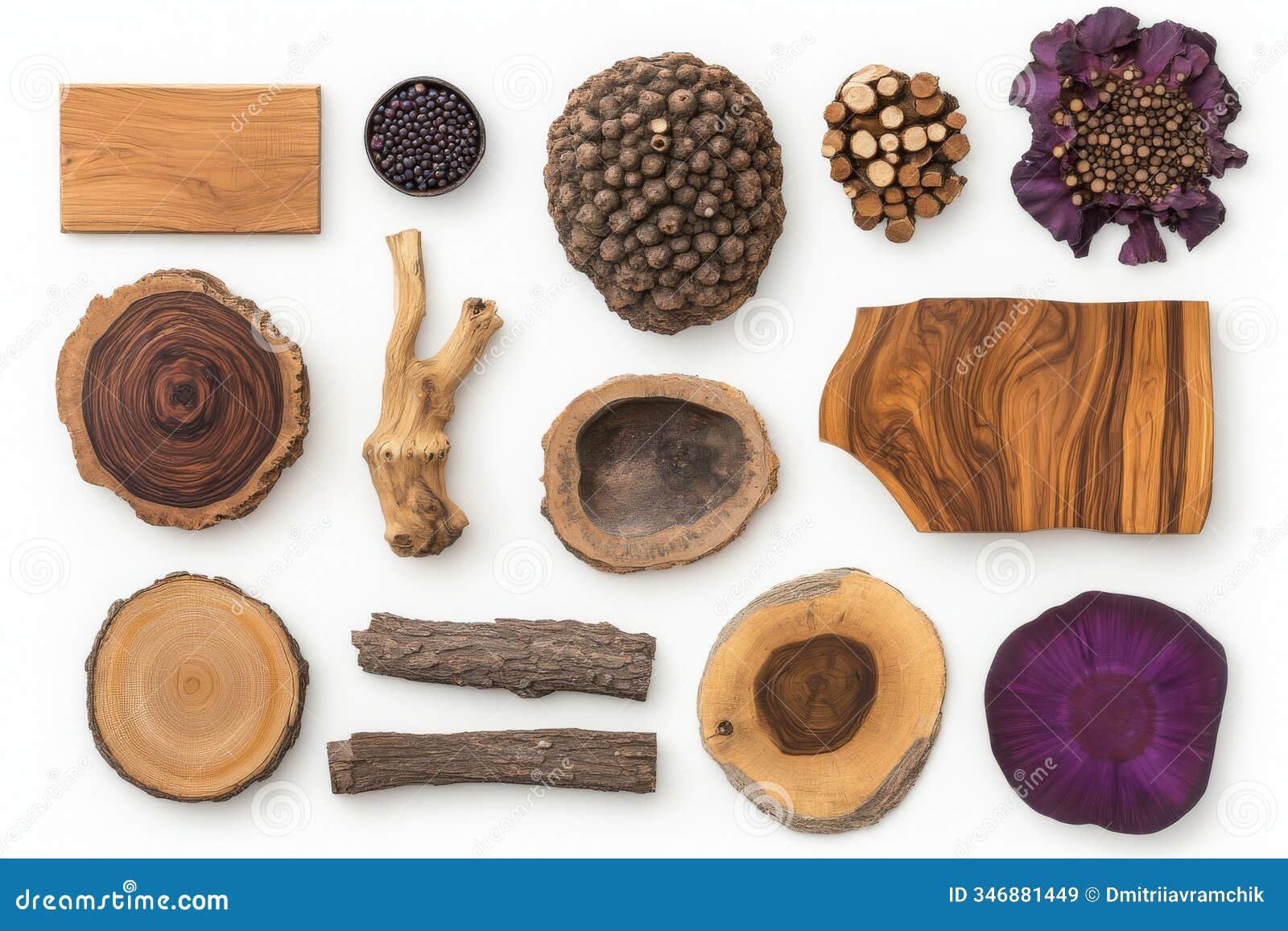 An Overview of Various Wood Veneer Samples Displaying Diverse Grain ...