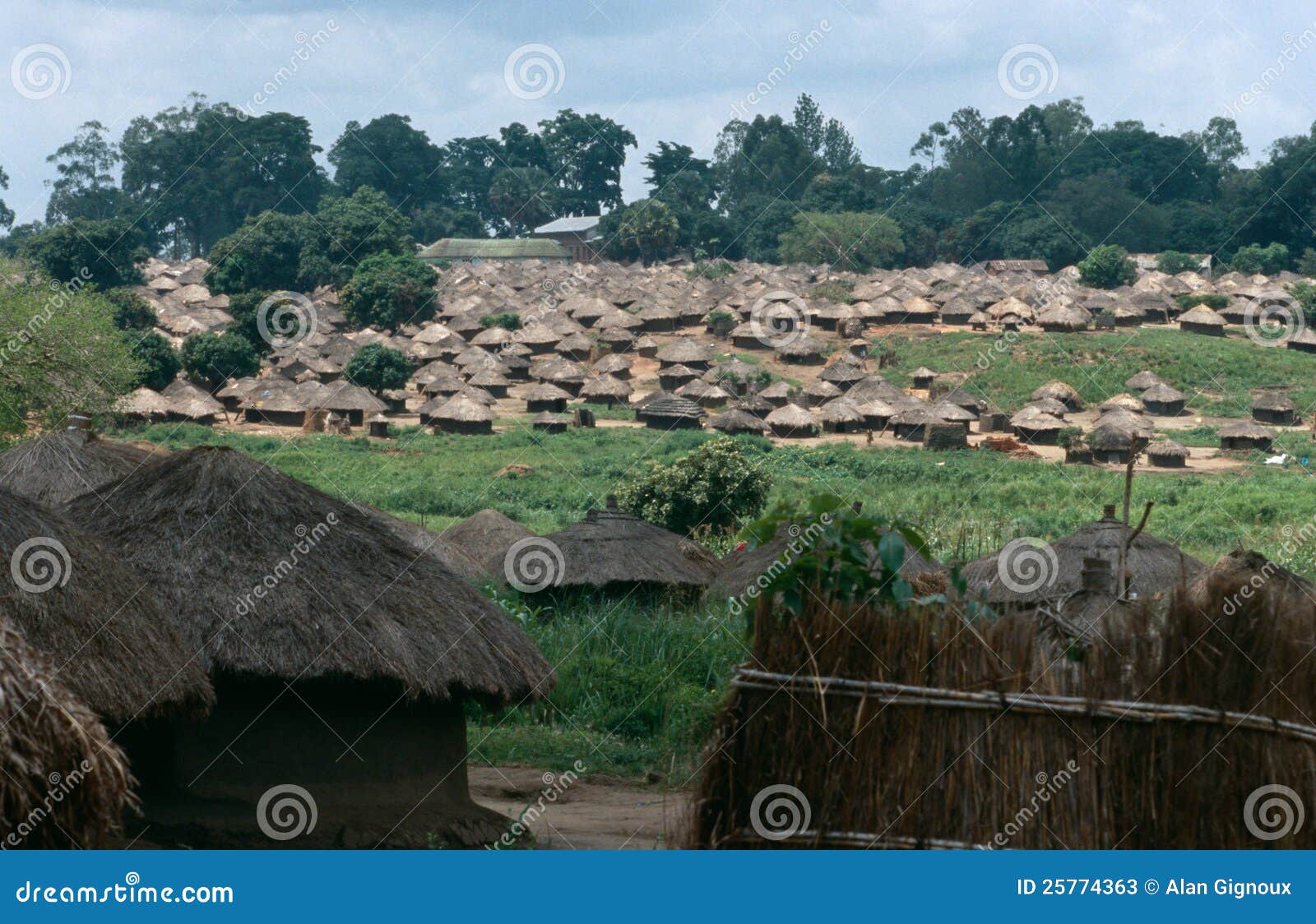 Overview Village Royalty-Free Stock Photo | CartoonDealer.com #116644647