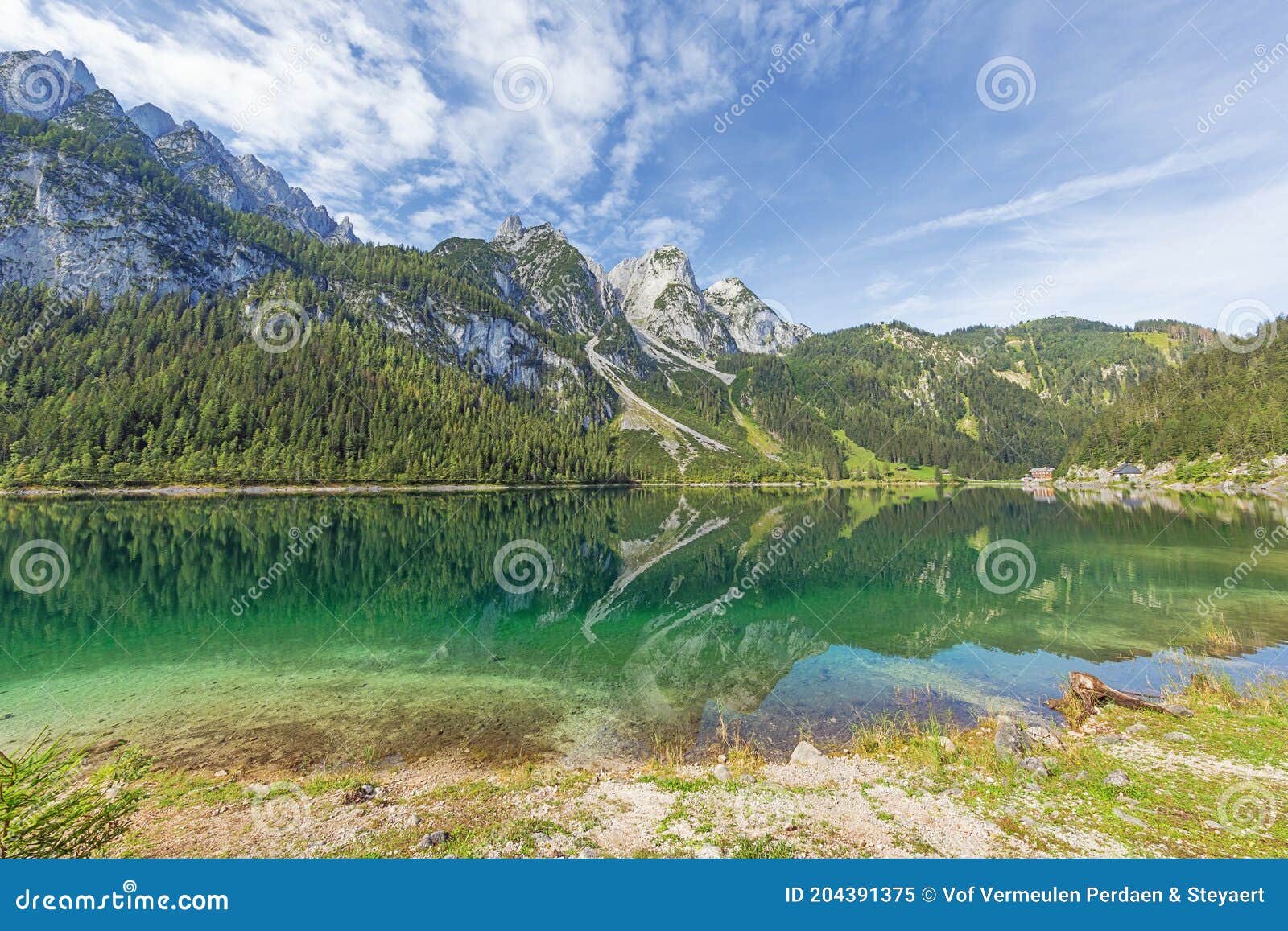 Overview of the Vorderer Gosausee with the Donnerkogel Stock Image ...