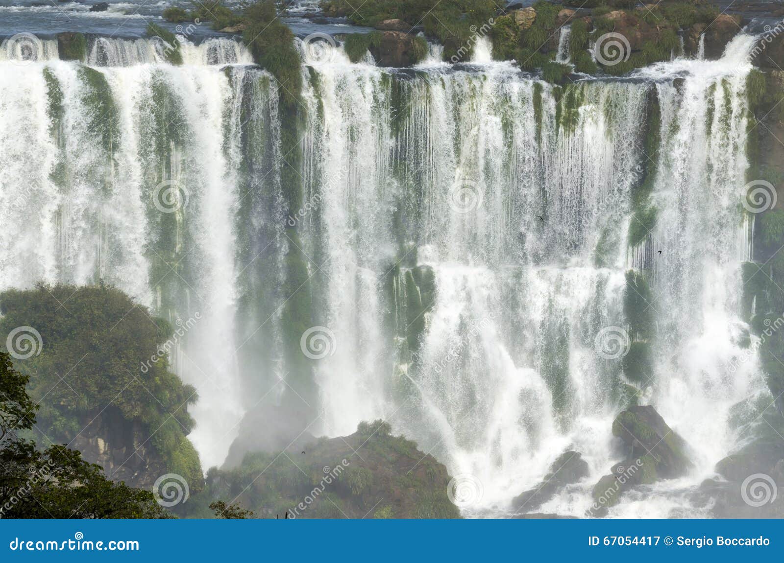 Overview of Waterfall Iguacu Stock Image - Image of vegetation ...