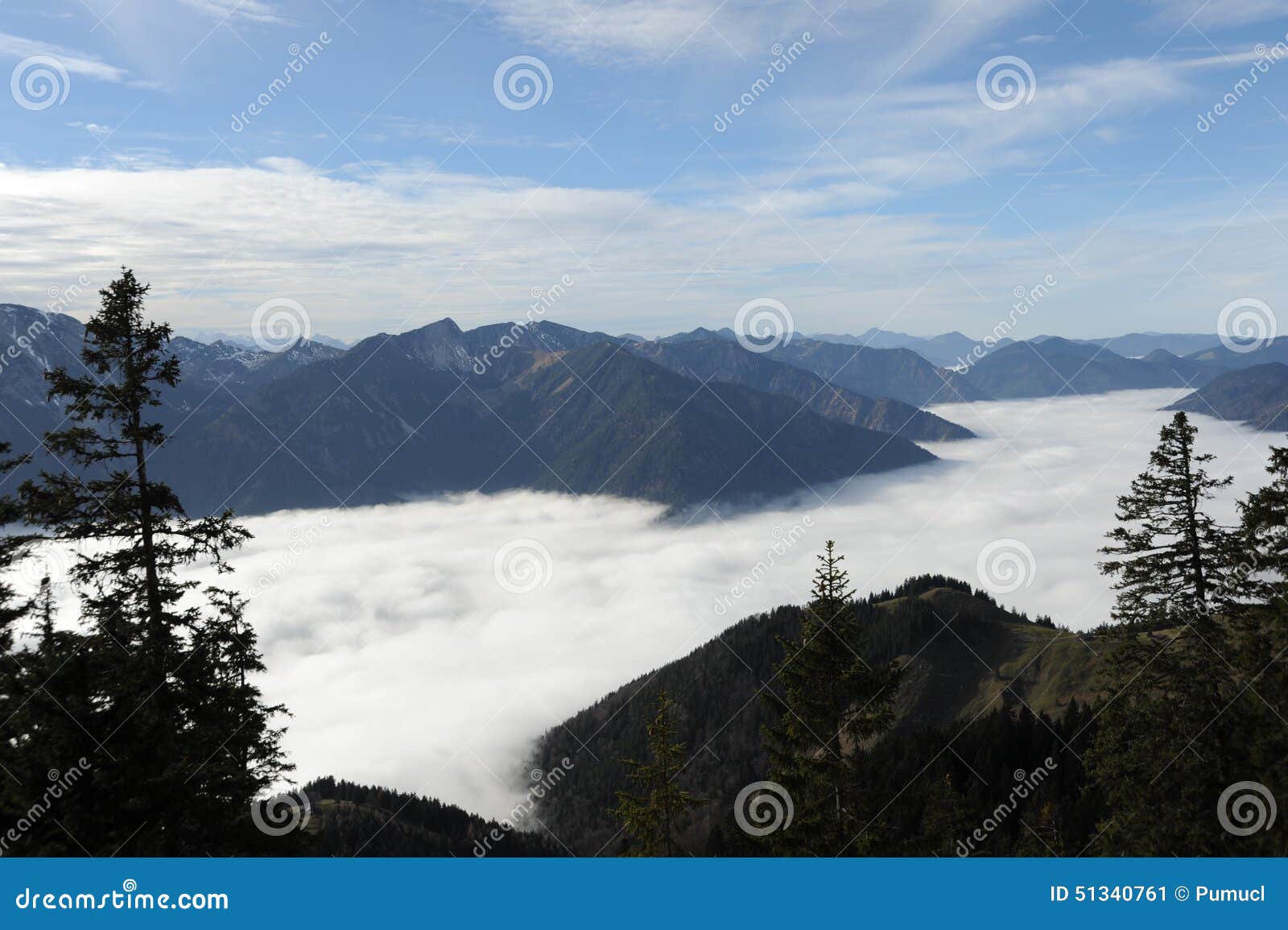 Overviewing the Alp stock image. Image of tree, leisure - 51340761