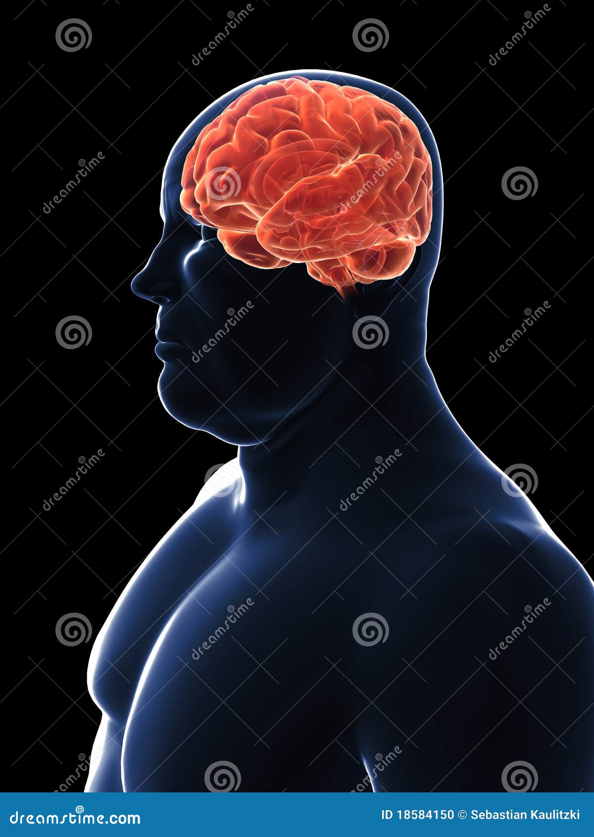 Overweight male - brain stock illustration. Illustration of chubby ...
