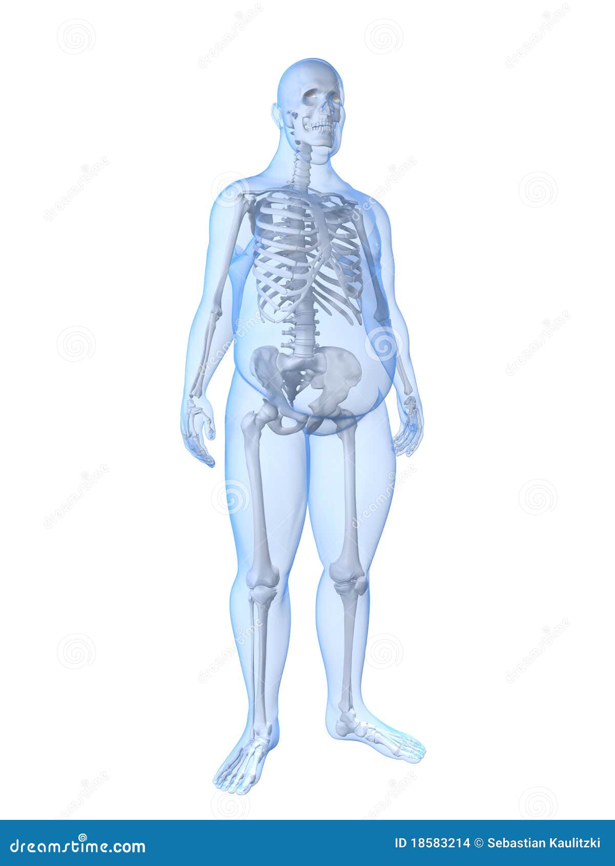 Overweight Male - Skeleton Royalty-Free Cartoon | CartoonDealer.com ...