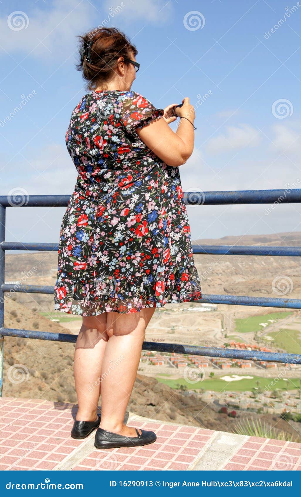 Overweight woman stock image. Image of holiday, middle - 16290913