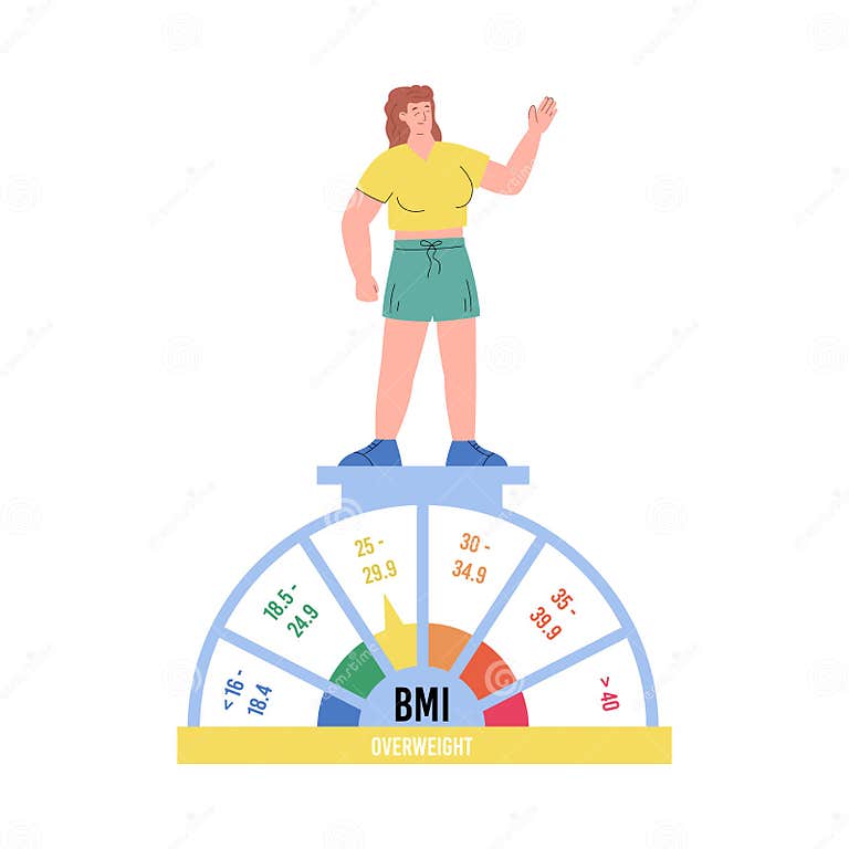 Overweight Woman On Obese Chart Scale Controls Bmi Flat Vector