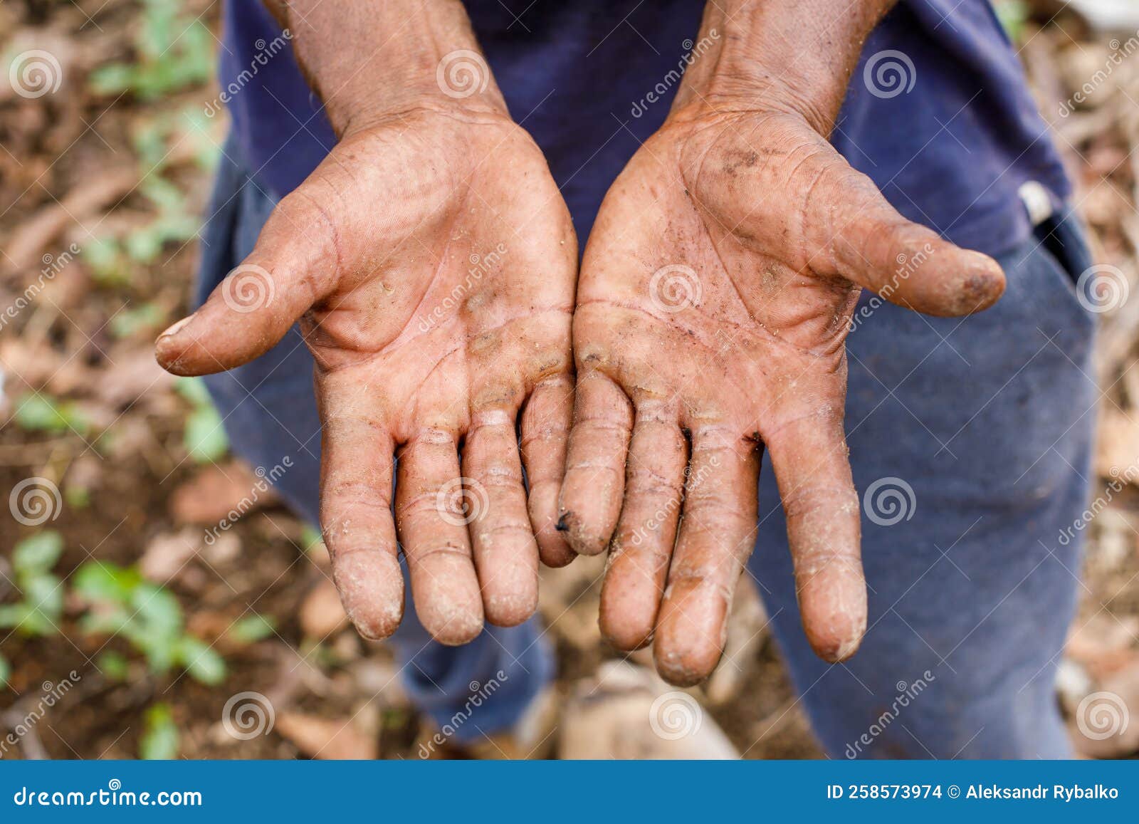 The Overworked Hands of a Peasant. the Hands of an Elderly Farmer ...