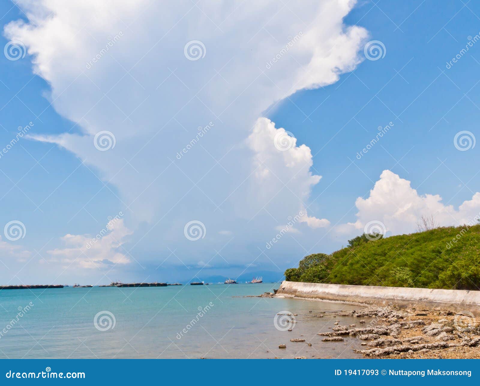 Overzees in de keerkringen stock afbeelding. Image of zomer - 19417093