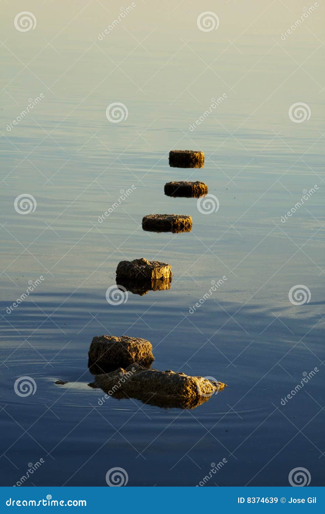 Overzeese Van Salton Stompen Stock Afbeelding - Image of verticaal ...