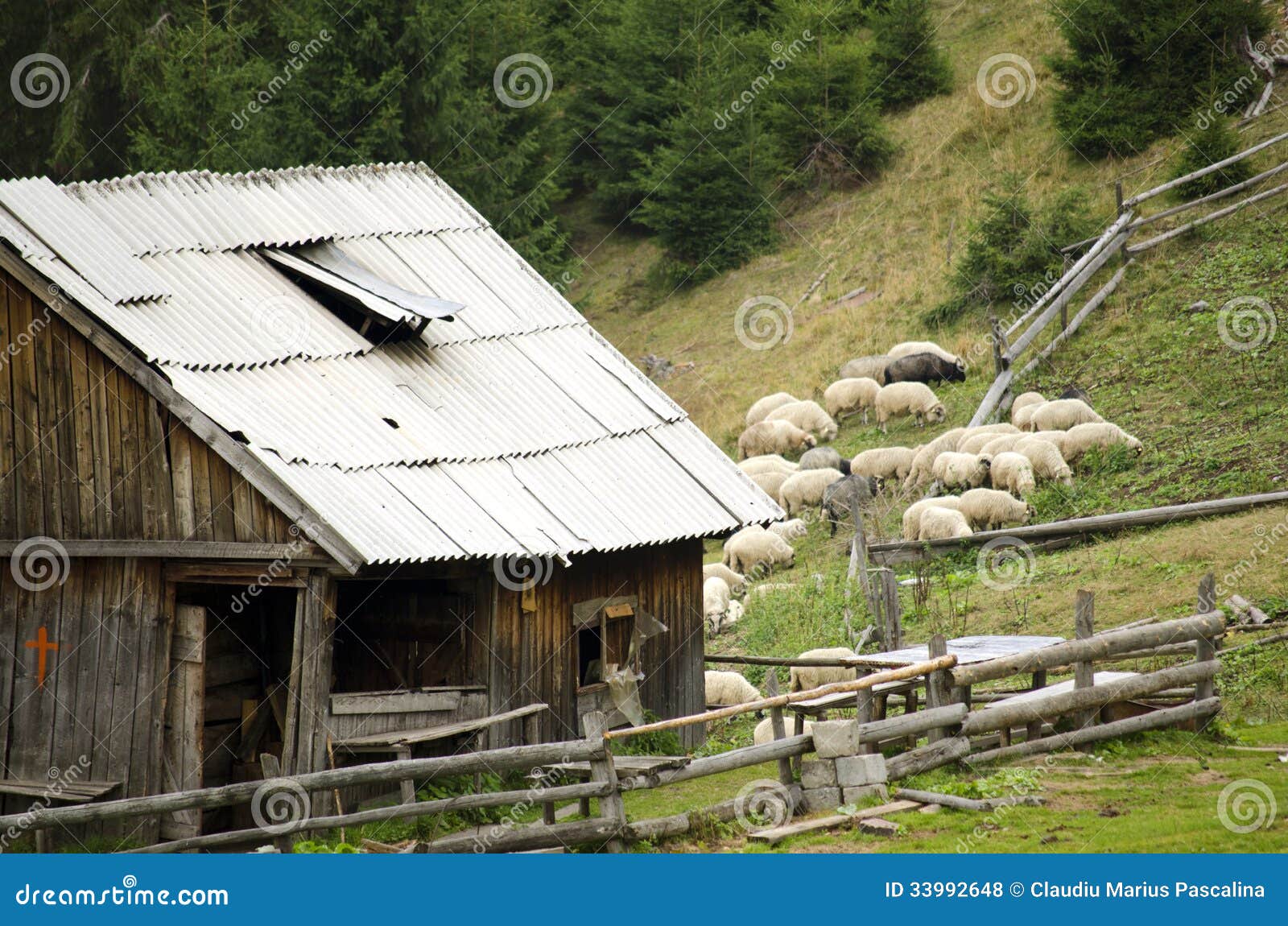 Ovile Di Legno in Montagne Carpatiche Fotografia Stock - Immagine di ...