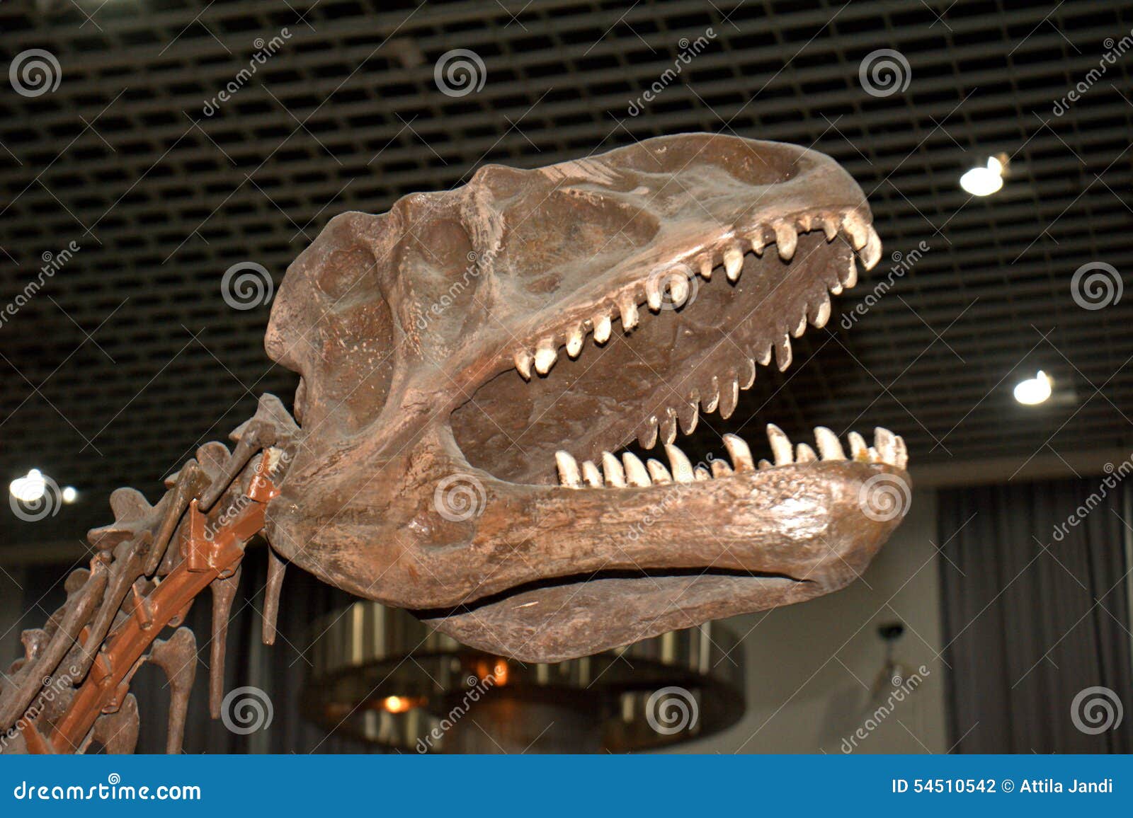 Oviraptor, Beijing, China editorial photography. Image of ecology ...
