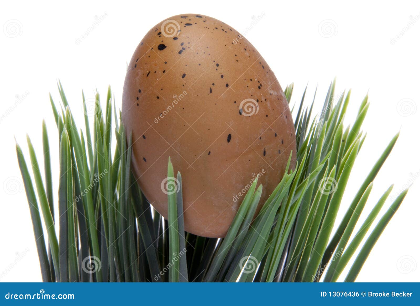 Ovo de Easter na grama foto de stock. Imagem de galinha - 13076436