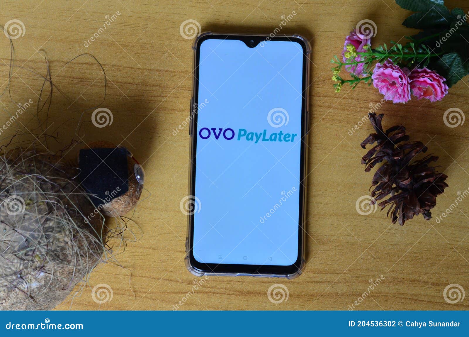 Ovo Pay Later on Smartphone, Popular E Wallet in Indonesia Editorial ...