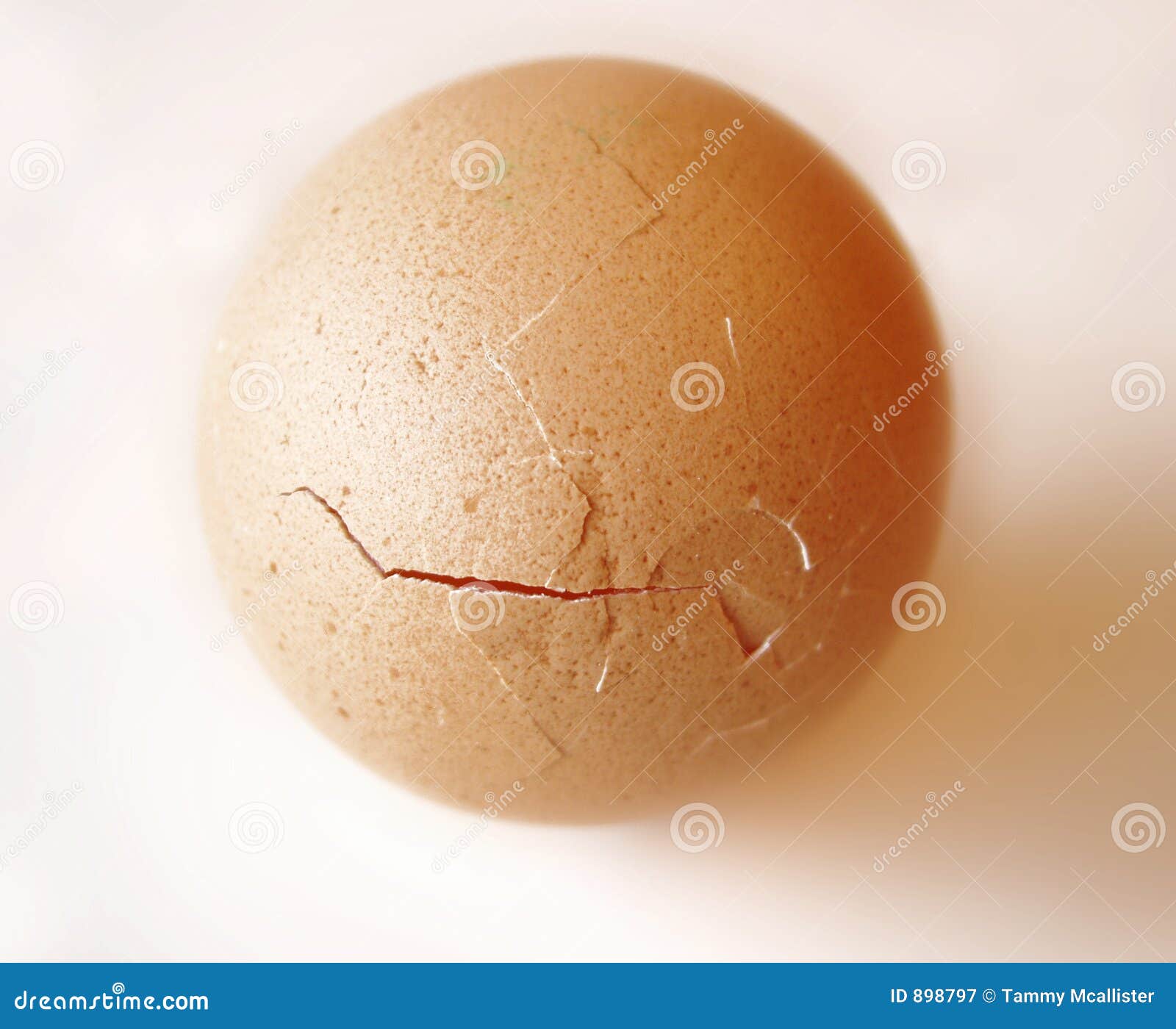 Ovo rachado imagem de stock. Imagem de fundo, aberto, oval - 898797