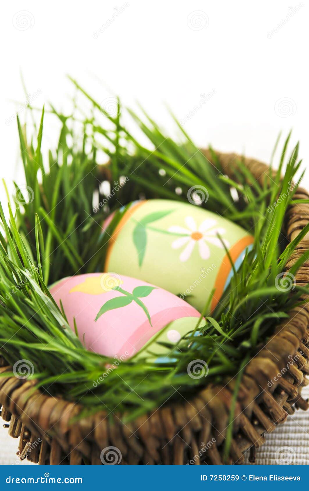 Ovos De Easter Com Grama Verde Imagem de Stock - Imagem de feriado ...