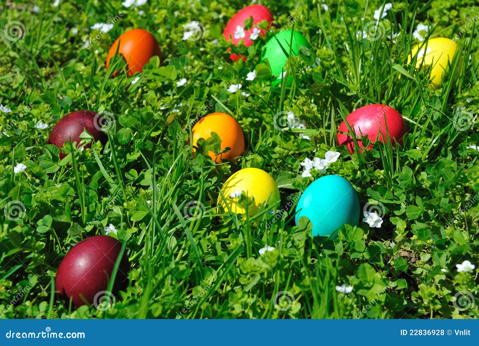 Ovos de Easter na grama foto de stock. Imagem de amarelo - 22836928