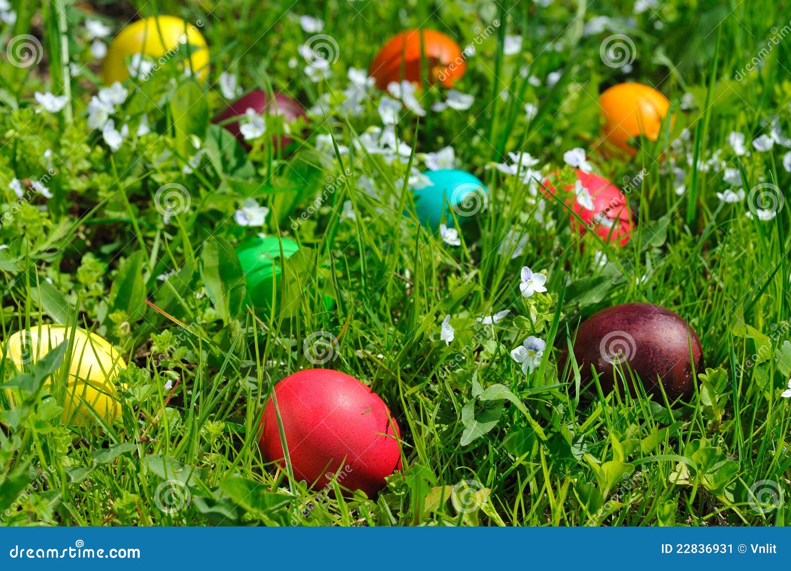 Ovos de Easter na grama imagem de stock. Imagem de margarida - 22836931