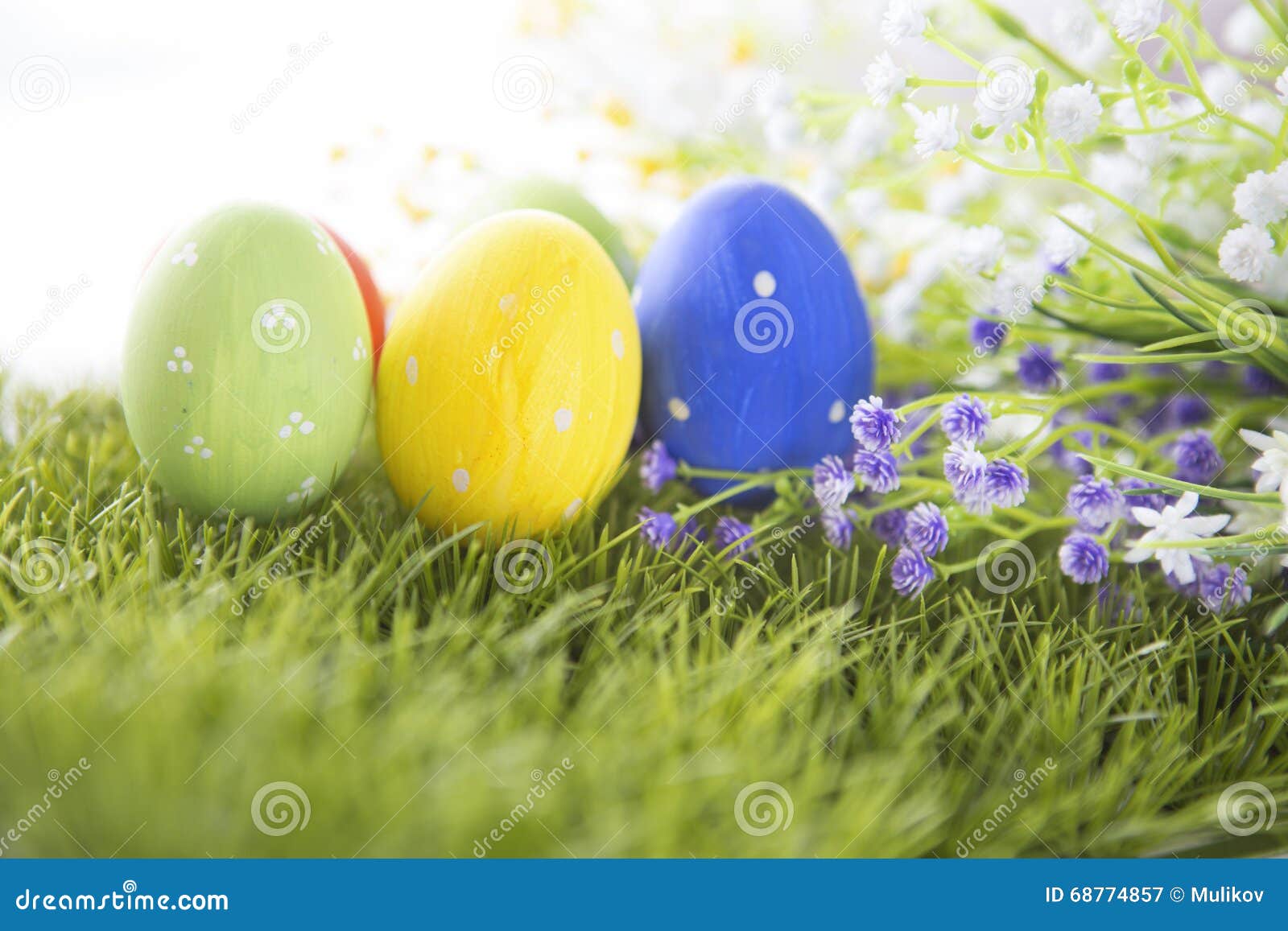 Ovos De Easter Que Escondem Na Grama Imagem de Stock - Imagem de ...