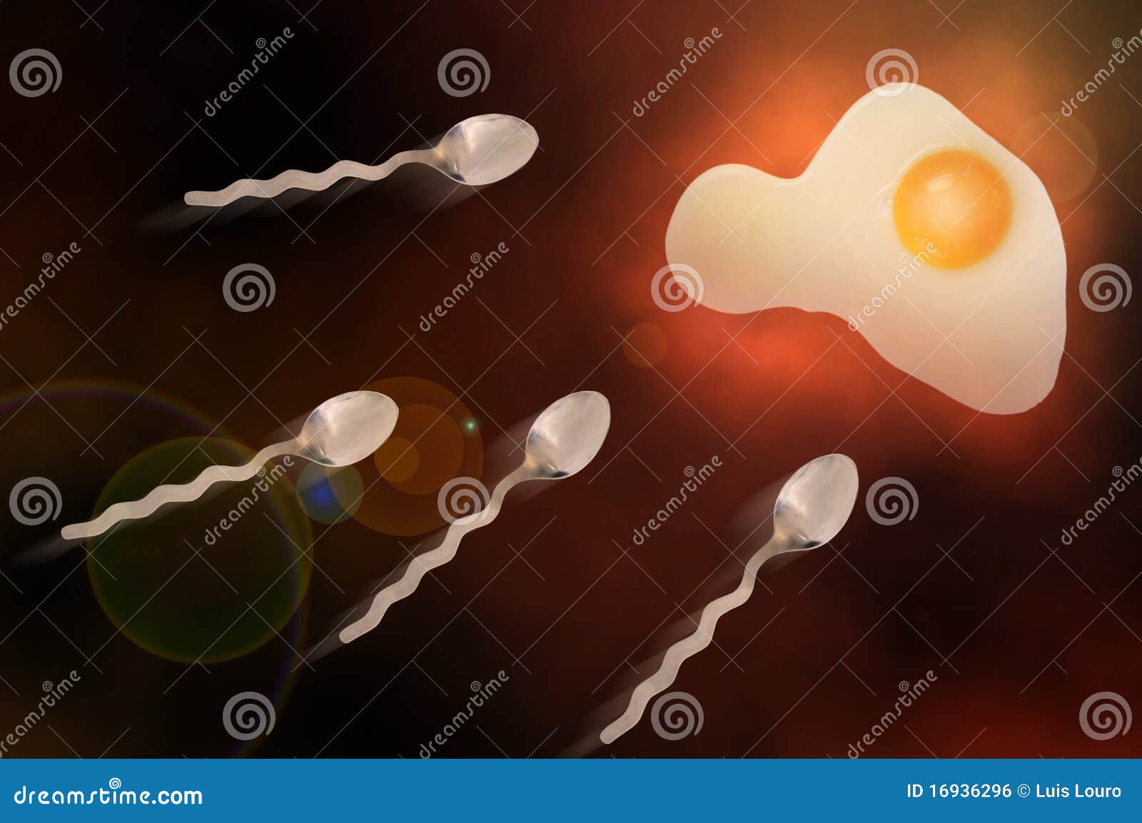 Ovulation stock photo. Image of macro, small, product - 16936296