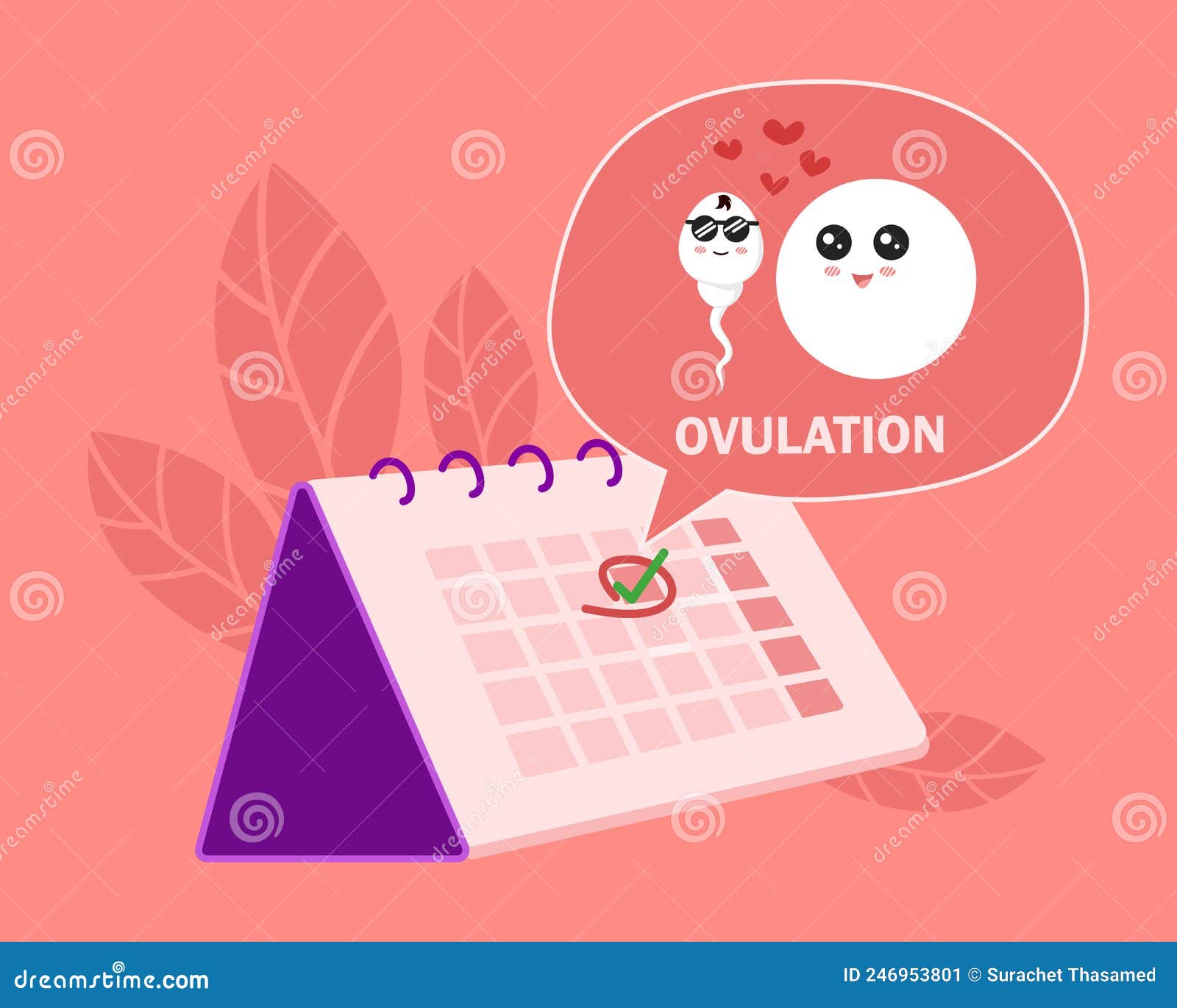 Ovulation Calendar With Marks Days Contraception Method Menstrual