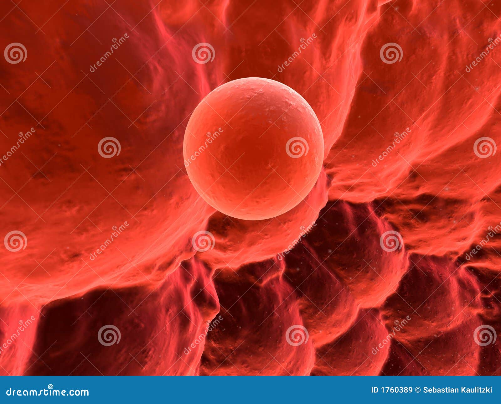 Ovule humain illustration stock. Illustration du biologique - 1760389