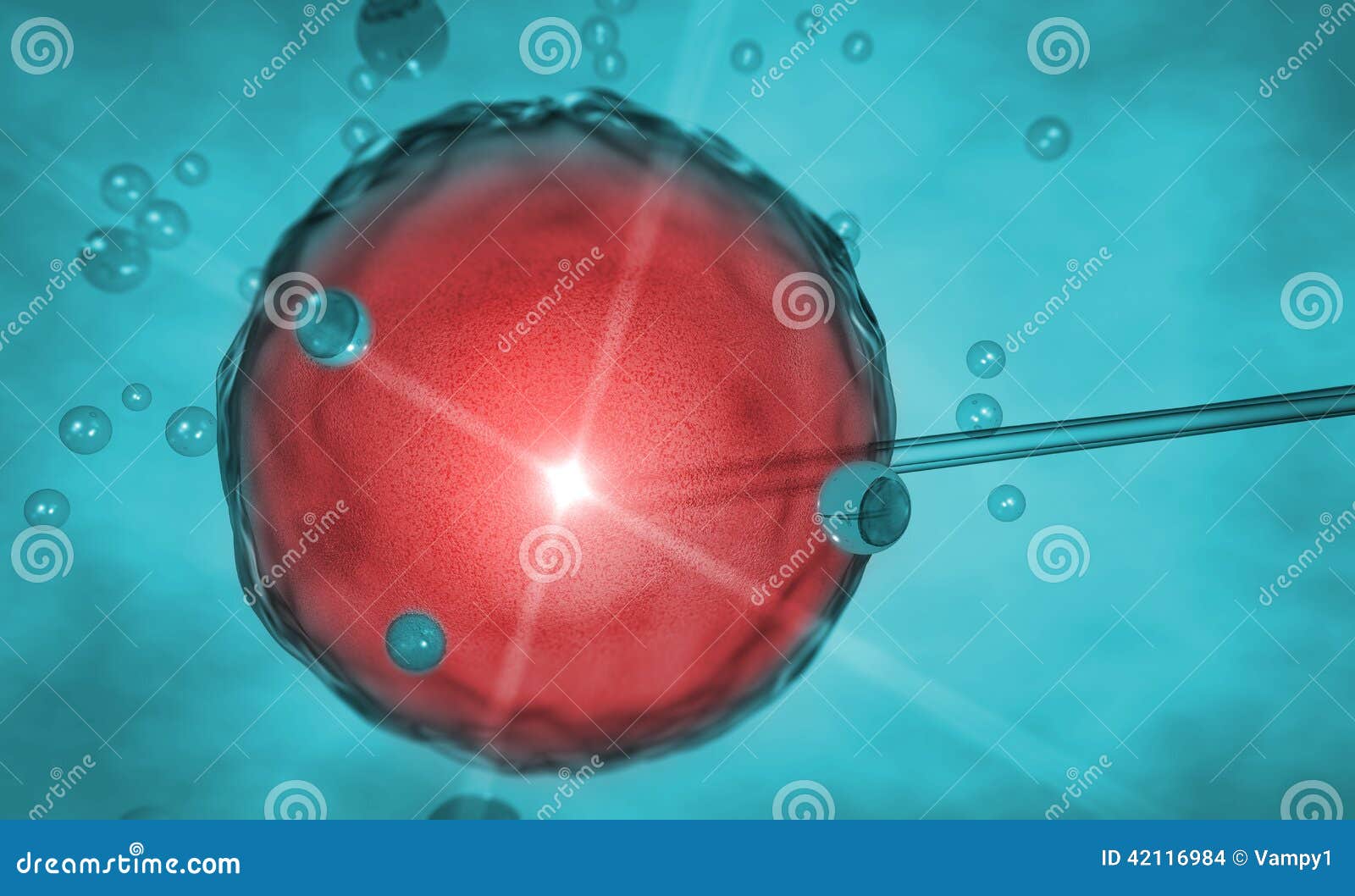 Ovum, Artificial Insemination, Artificial Stock Illustration ...