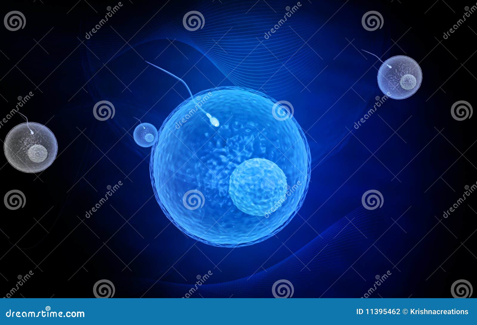 Ovum Cell Royalty-Free Cartoon | CartoonDealer.com #44550725