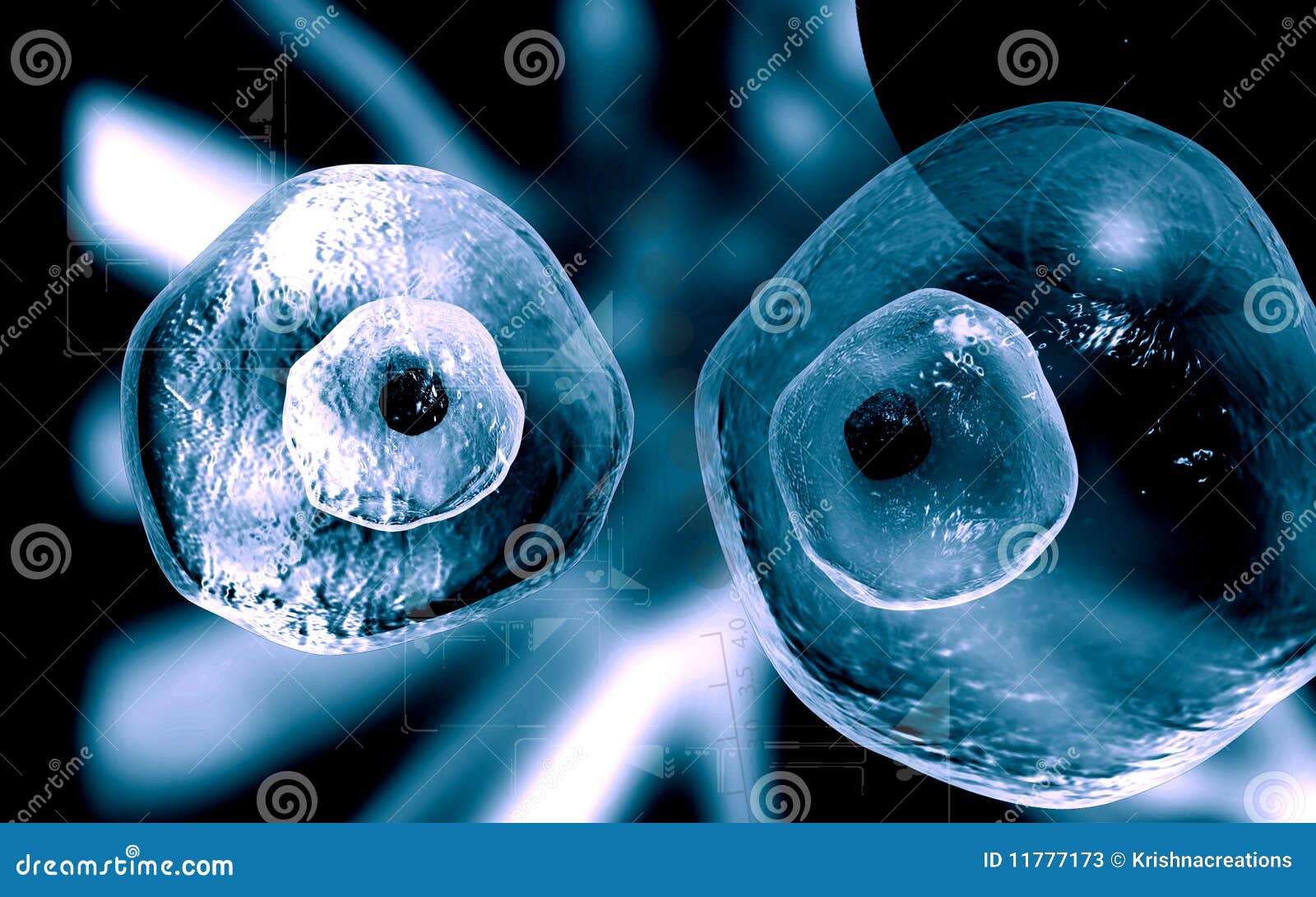 Ovum Cell Royalty-Free Illustration | CartoonDealer.com #45032406