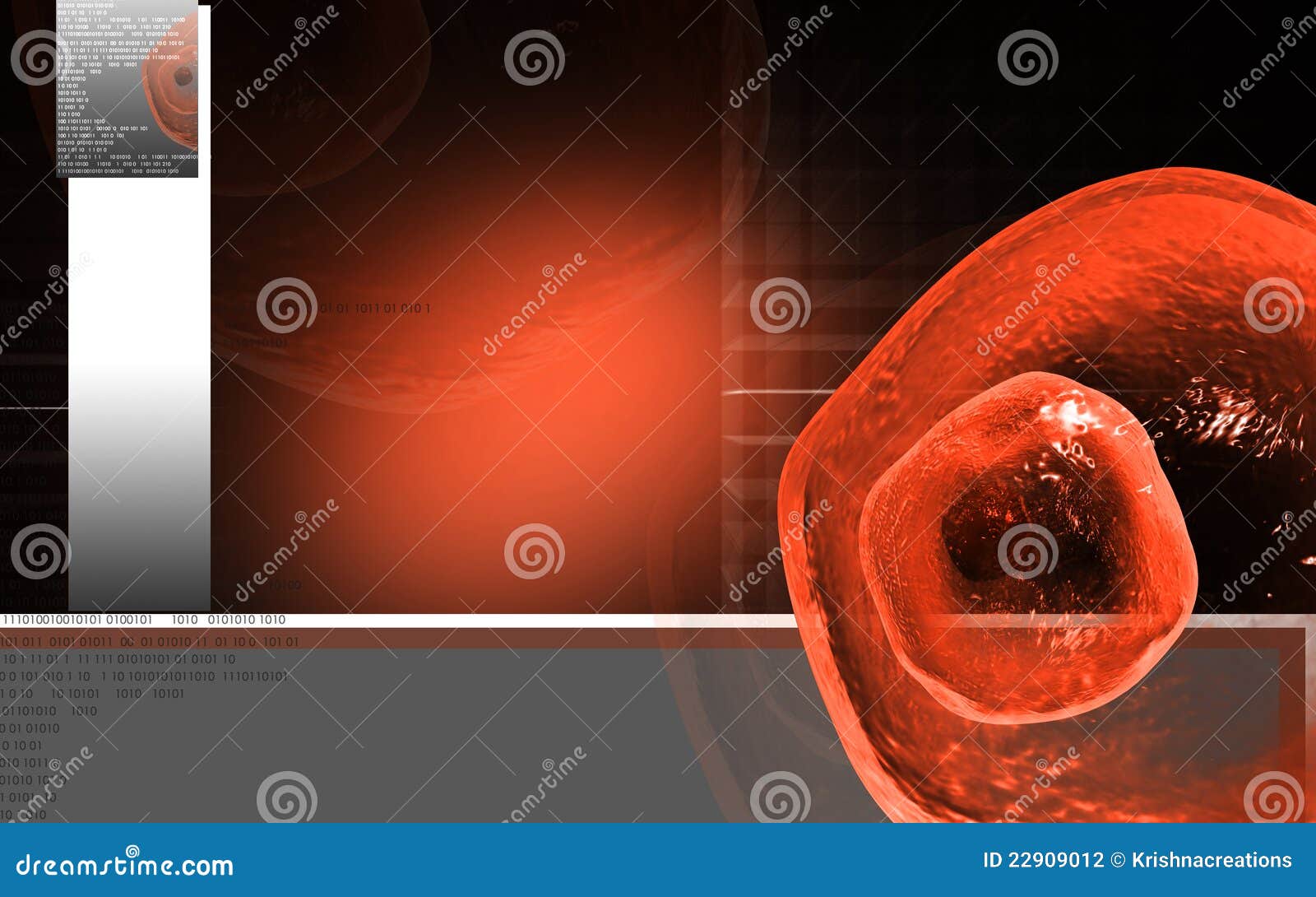Ovum cell stock illustration. Illustration of colour - 22909012