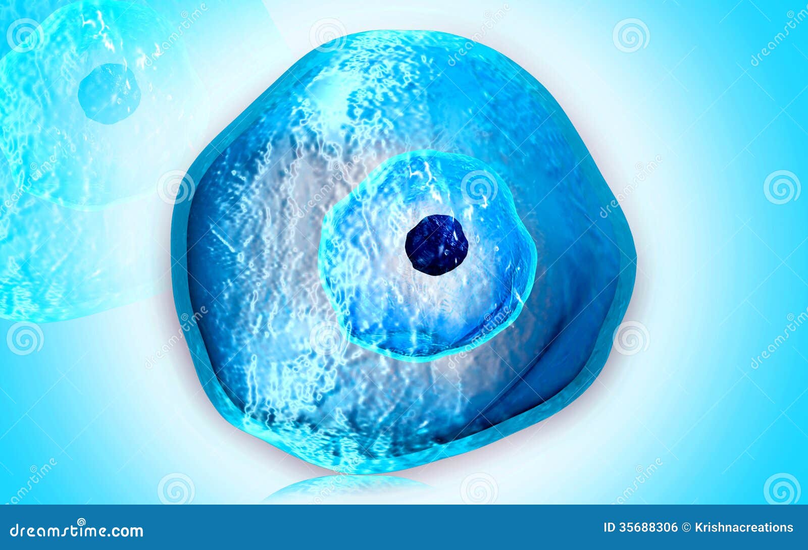 Ovum Cell Royalty-Free Cartoon | CartoonDealer.com #44550725