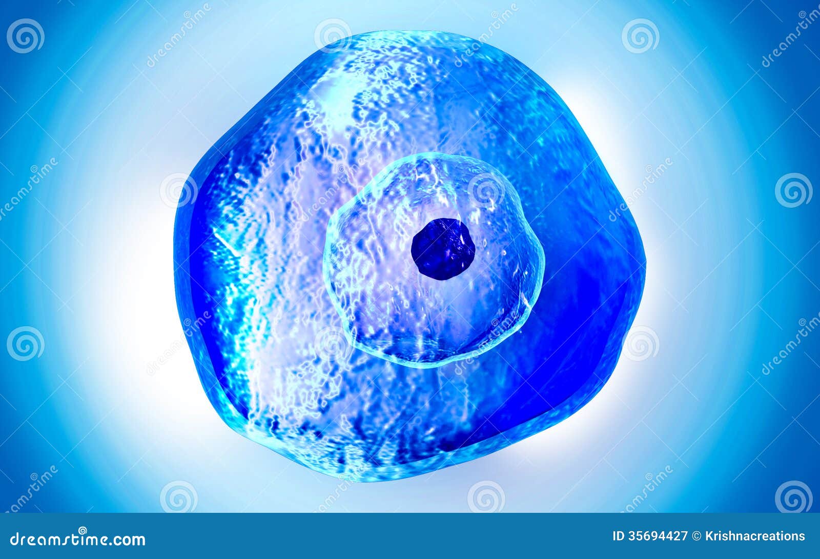 Ovum Cell Royalty-Free Cartoon | CartoonDealer.com #44550725