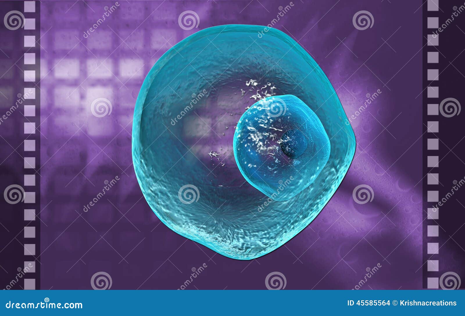 Ovum cell stock illustration. Illustration of colour - 45585564