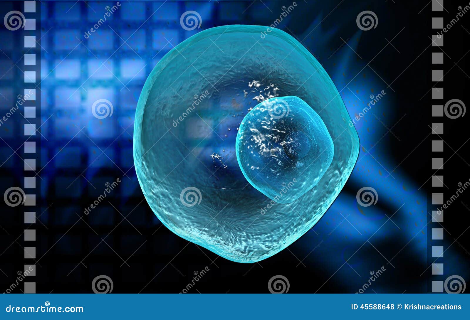 Ovum cell stock illustration. Illustration of digital - 45588648