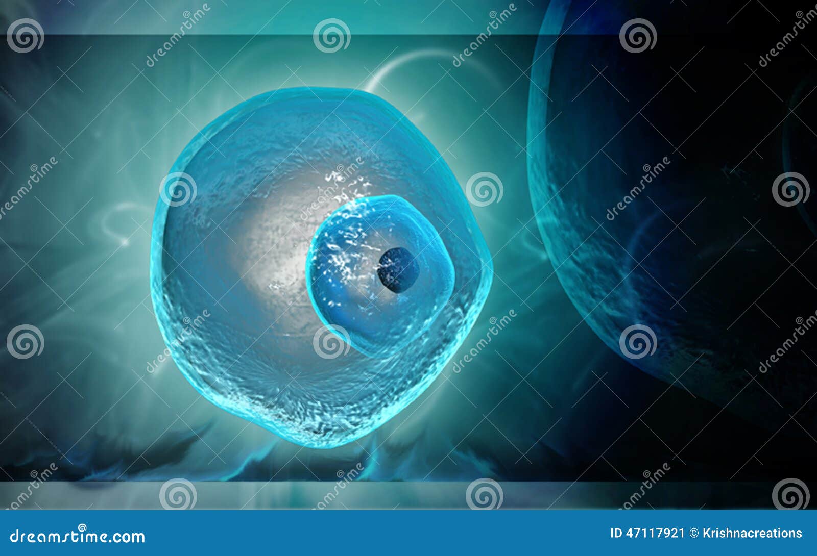 Ovum Cell Royalty-Free Illustration | CartoonDealer.com #45032406