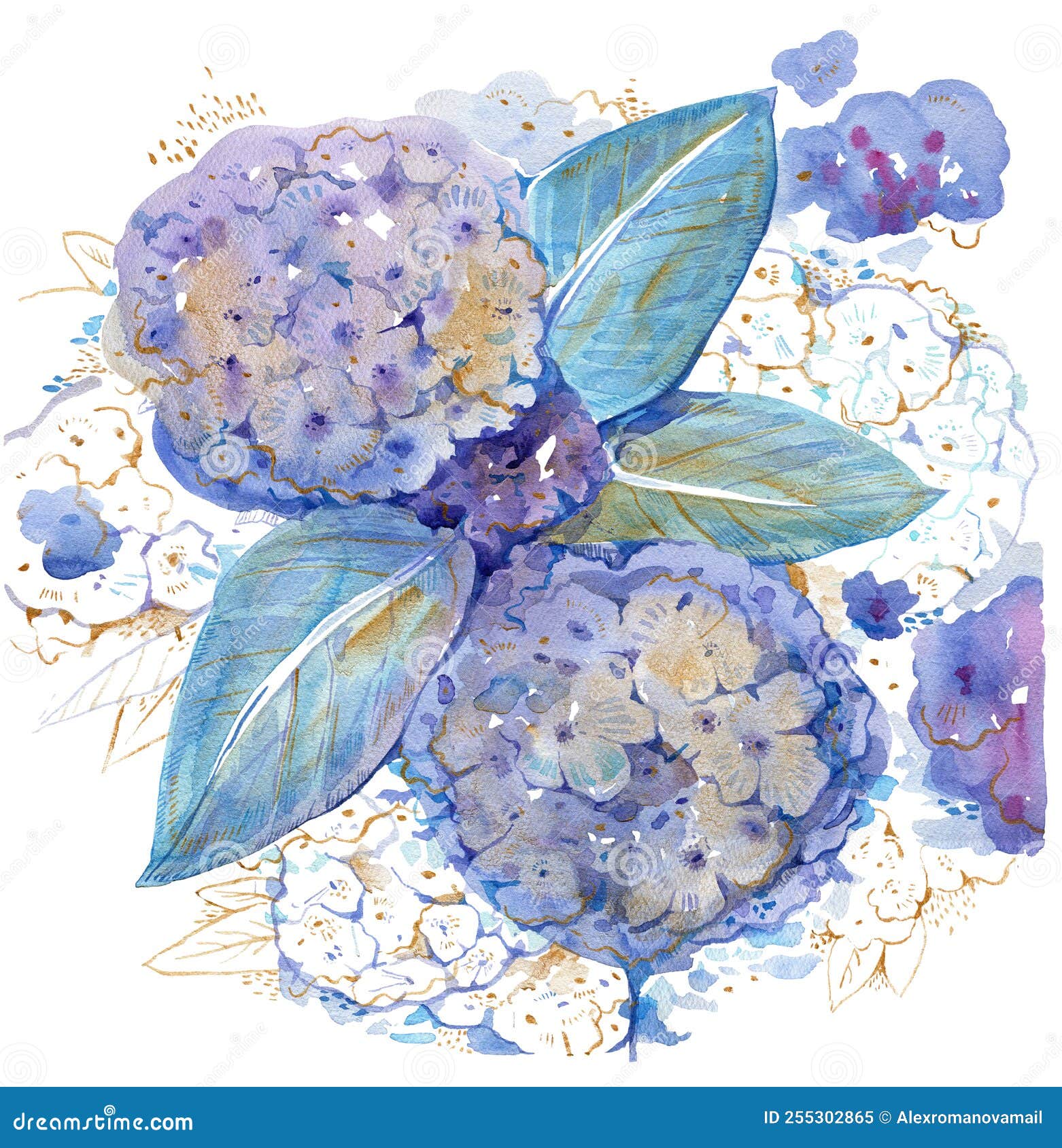 Hydrangea Hand Drawn Vector Illustration Monochrome Black And White