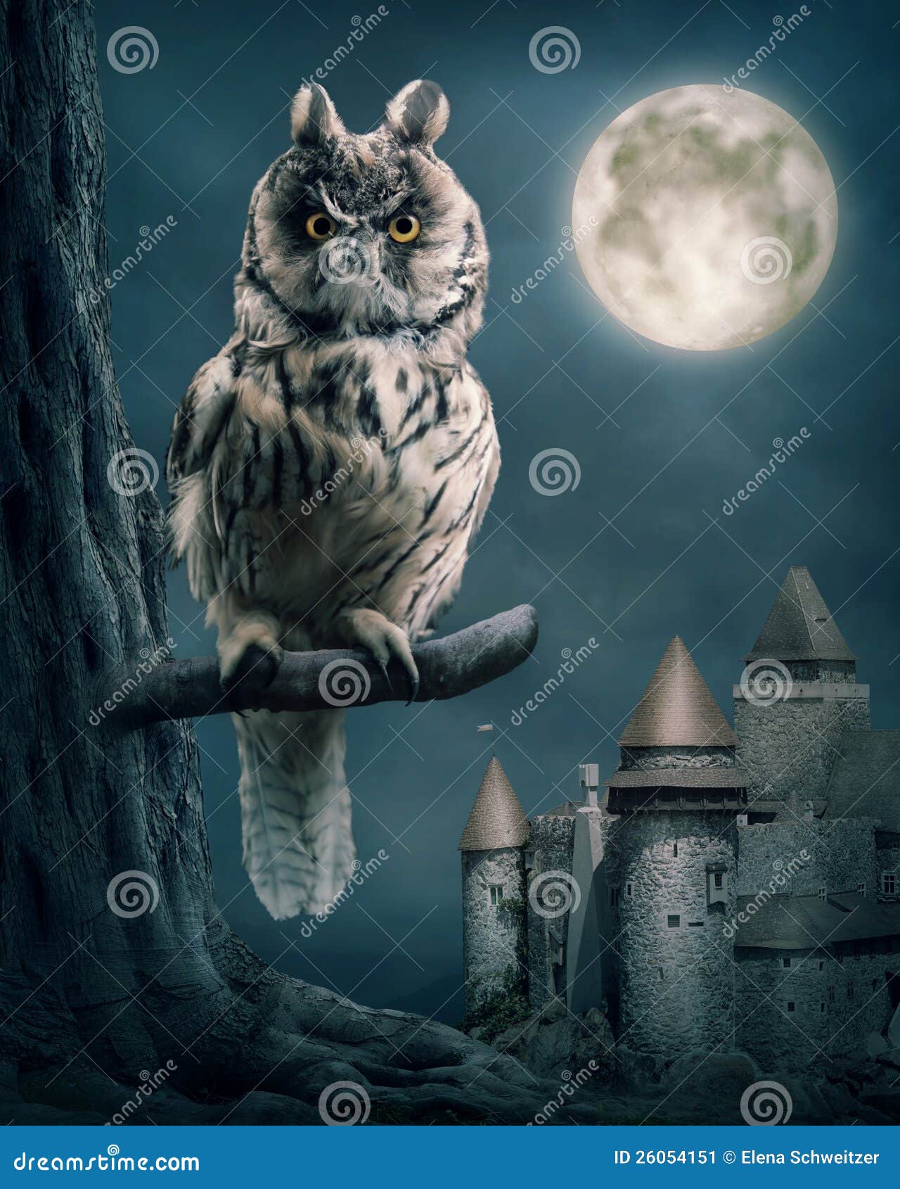 701 Horror Owl Photos - Free & Royalty-Free Stock Photos from Dreamstime