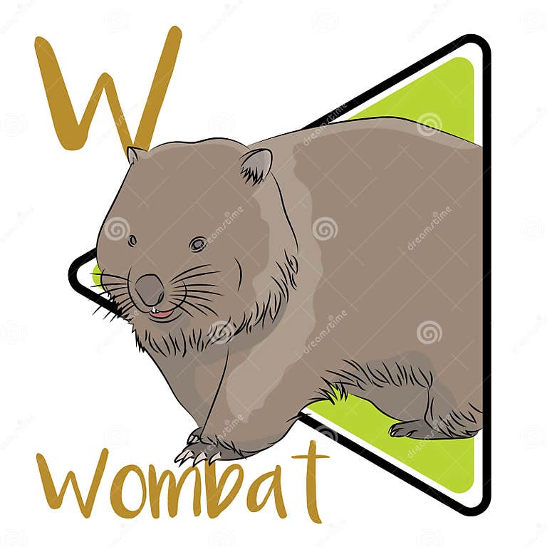 Wombats are the only Animal Known To Have Cube-shaped Dung. Stock Illustration - Illustration of ...